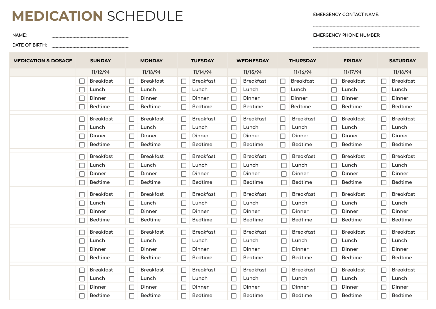 Blank Medication Schedule Template - Google Docs | Word - Highfile